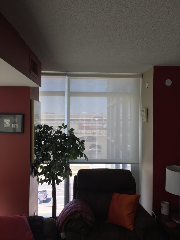 Roller Shades – Savalan Window Decor